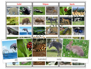 Animal Coverings (Stripes, Spots & Solid) - Sorting Cards & Control ...
