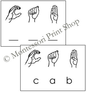 American Sign Language Word Cards | Made By Teachers