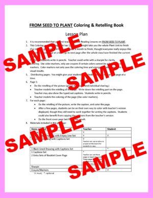 Science Project: Plant Booklet: From Seed to Plant | Made By Teachers