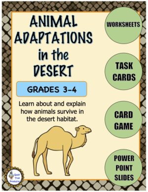 Animal Adaptations in the Desert Activities and Worksheets | Made By ...