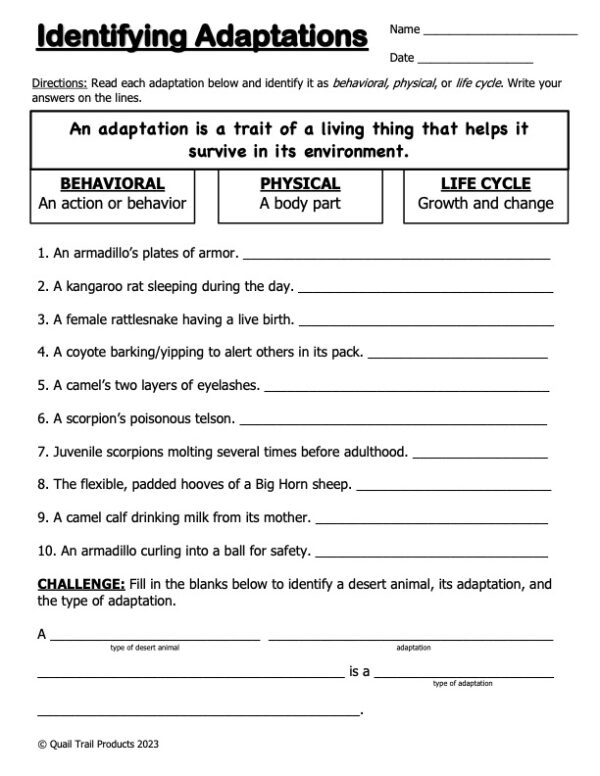 Animal Adaptations in the Desert Activities and Worksheets | Made By ...