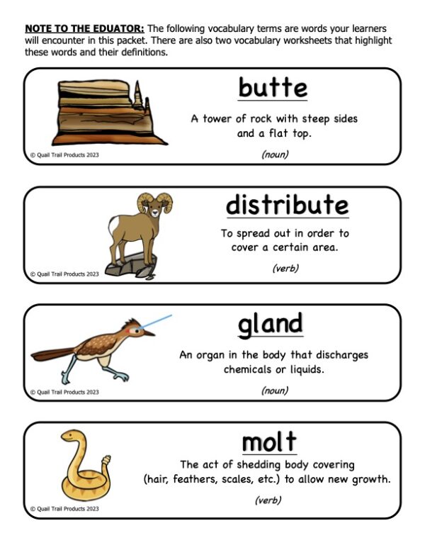 Animal Adaptations in the Desert Activities and Worksheets | Made By ...