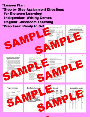 Narrative Writing Craft: Fly a Hot Air Balloon | Made By Teachers