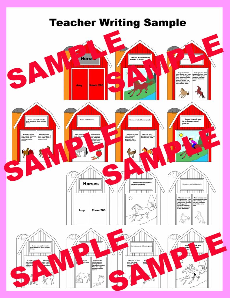 Narrative Writing Craft: Fly a Hot Air Balloon | Made By Teachers