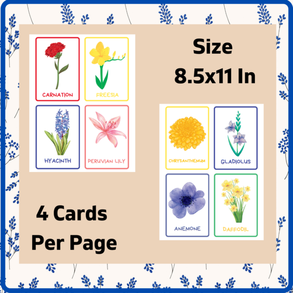 Printable Spring Flower Identification Flashcards for Kids | Made By ...