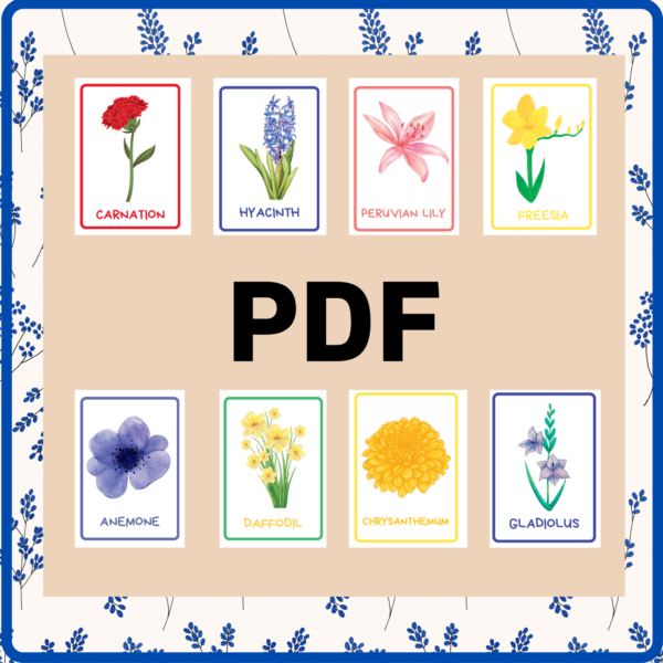 Printable Spring Flower Identification Flashcards for Kids | Made By ...