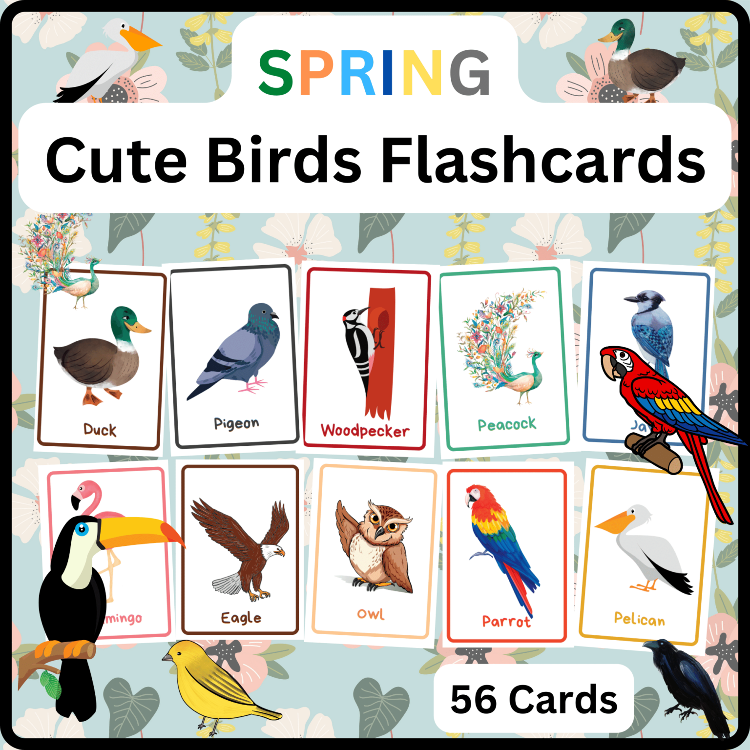 Spring Activities | Printable Cute And Funny Birds Identification ...