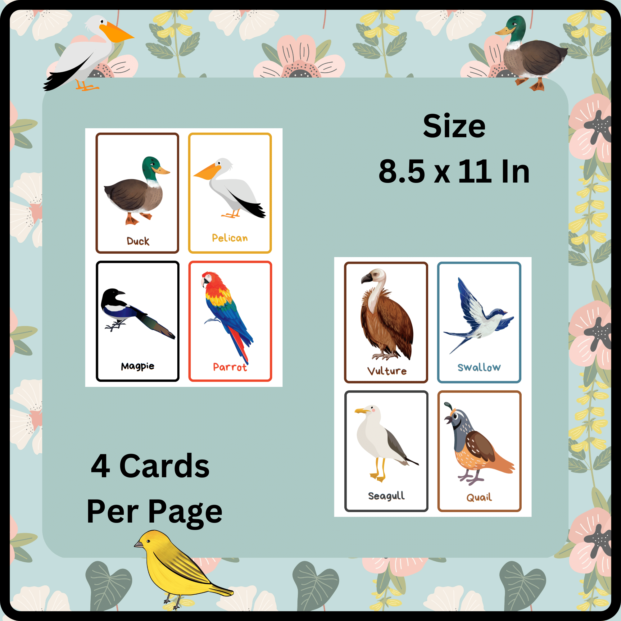 Spring Activities | Printable Cute And Funny Birds Identification ...