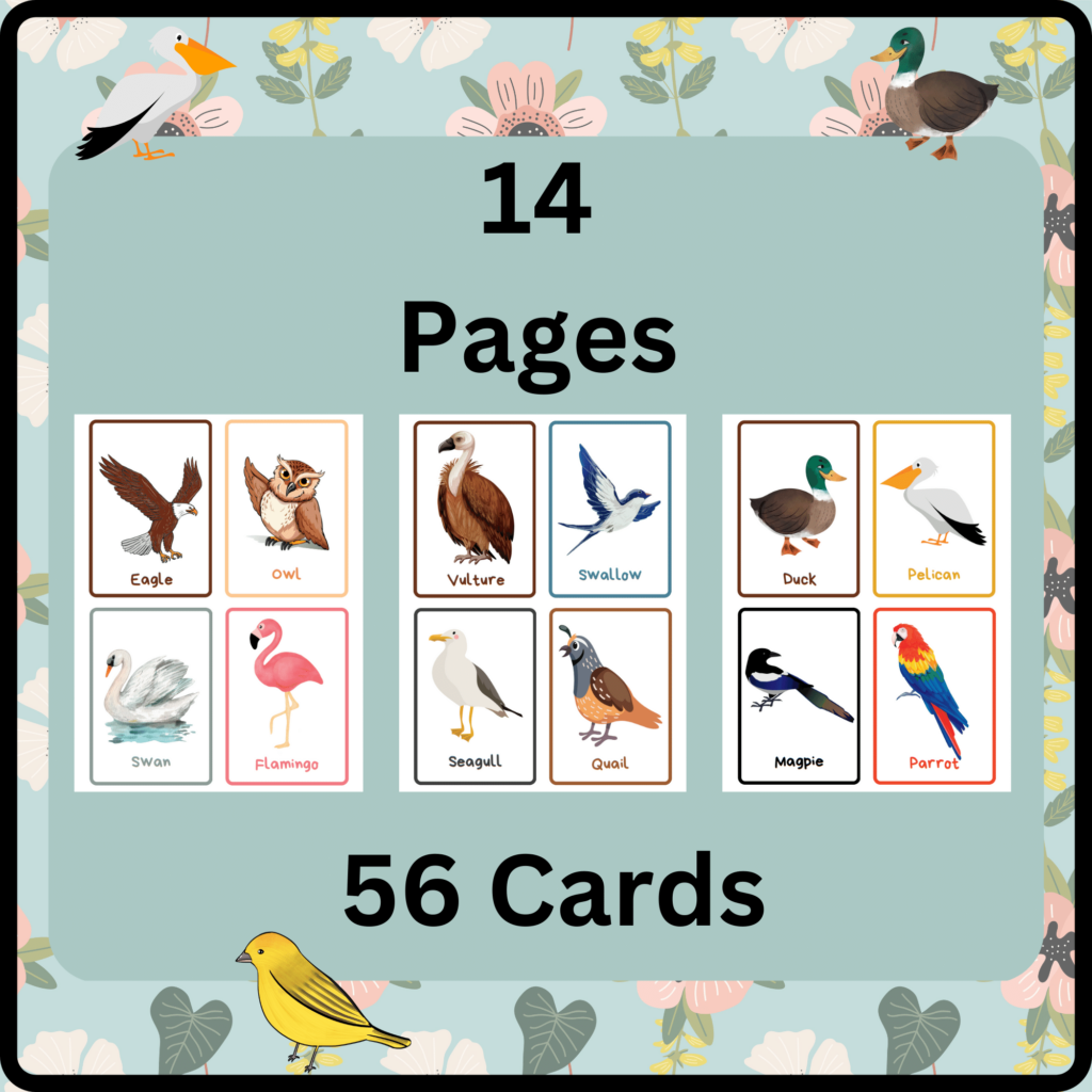 Spring Activities | Printable Cute And Funny Birds Identification ...