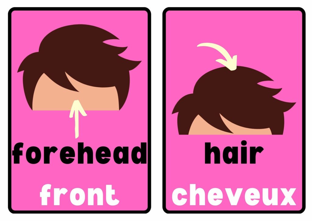 Bilingual Body Parts Flashcards: Learn English and French the Fun Way ...