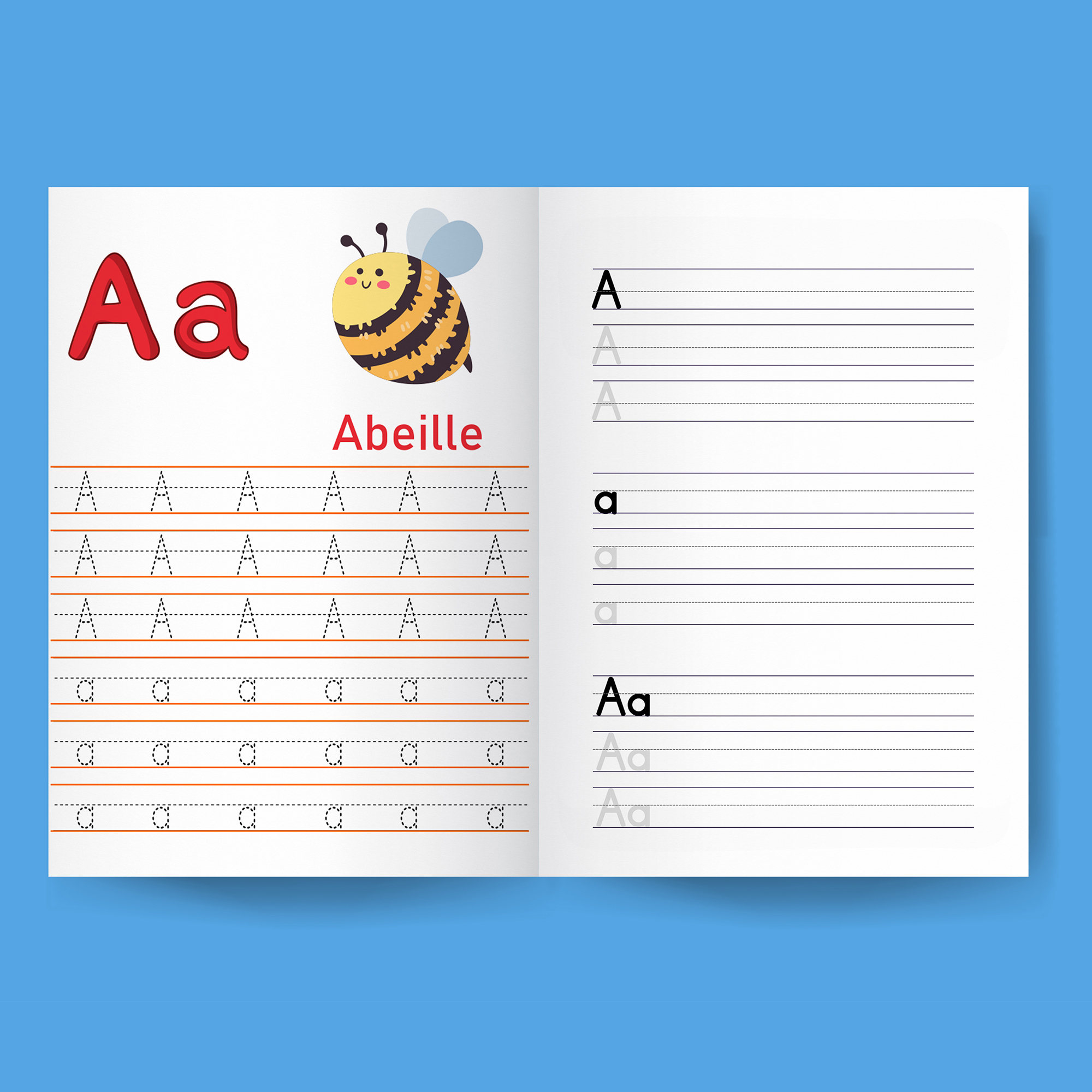 Tracer Les Chiffres et Les Lettres : French Alphabets And Numbers ...
