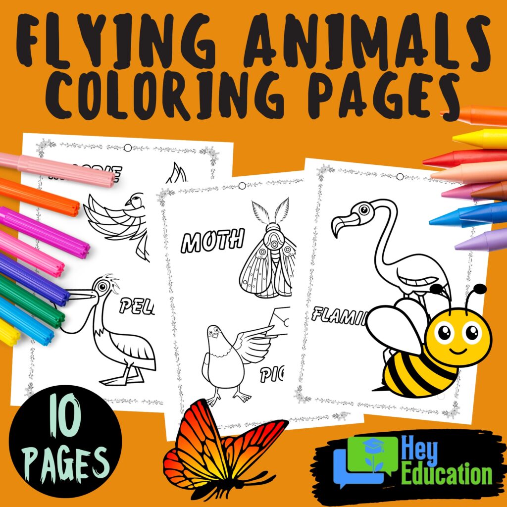 Flying Animals Coloring Pages Activity | Made By Teachers