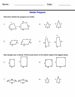 Similar Polygons Worksheets -Similarity Worksheets - | Made By Teachers