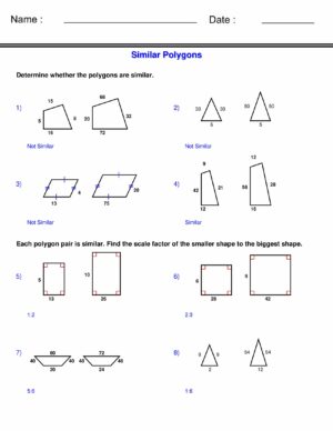 Similar Polygons Worksheets -Similarity Worksheets - | Made By Teachers