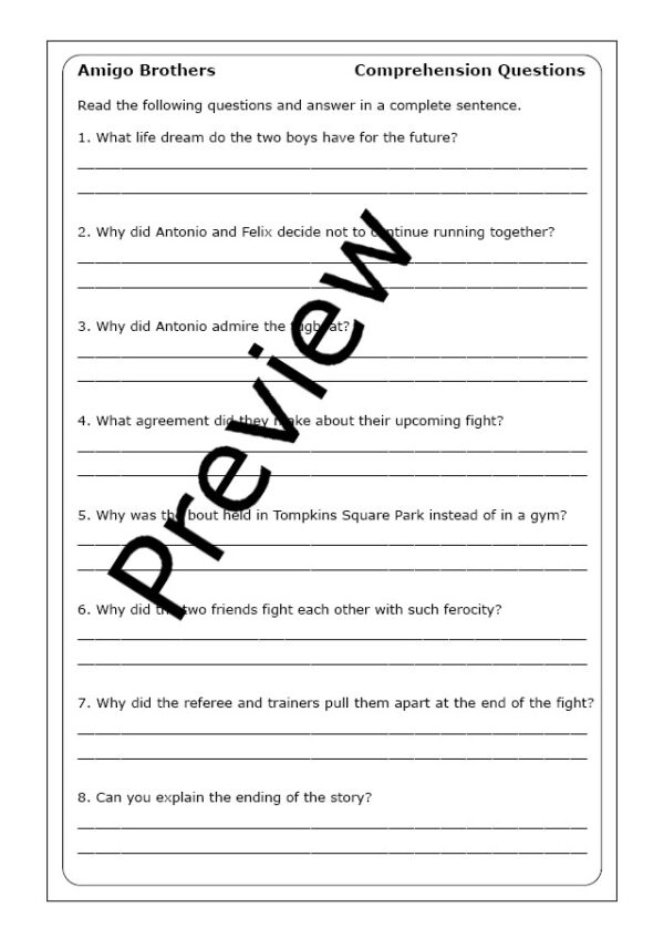 Piri Thomas "Amigo Brothers" worksheets | Made By Teachers