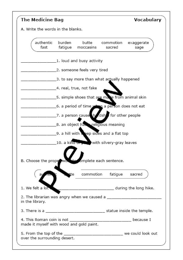 Virginia Driving Hawk Sneve "The Medicine Bag" worksheets | Made By ...