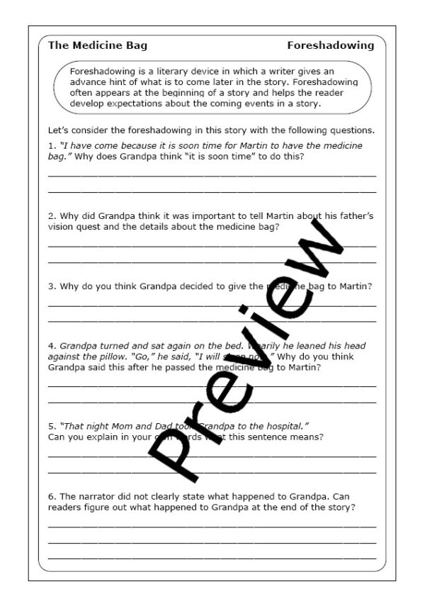 Virginia Driving Hawk Sneve "The Medicine Bag" worksheets | Made By ...
