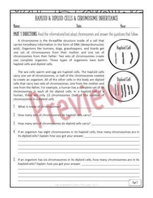 Haploid and Diploid Cells and Chromosome Inheritance Worksheet | Made ...