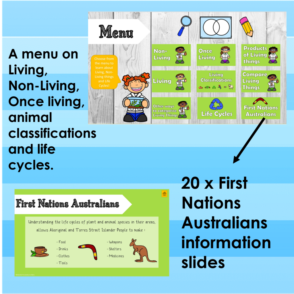 Living, Non-Living & Life Cycles Information PowerPoint | Made By Teachers