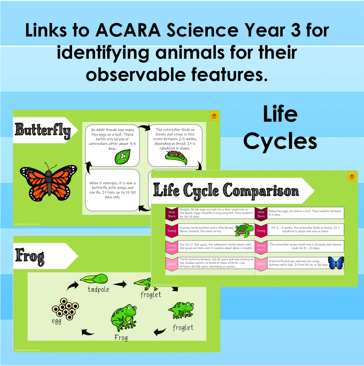 Living, Non-Living & Life Cycles Information PowerPoint | Made By Teachers