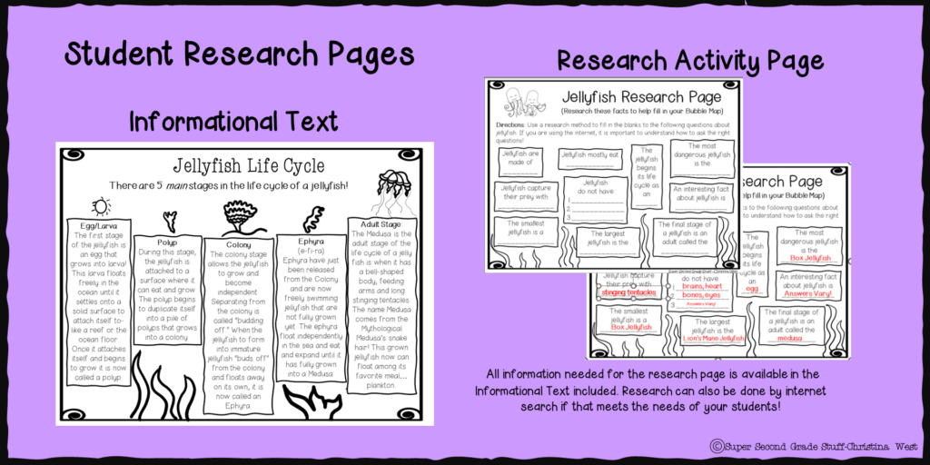 End of Year Jellyfish Fun! | Made By Teachers