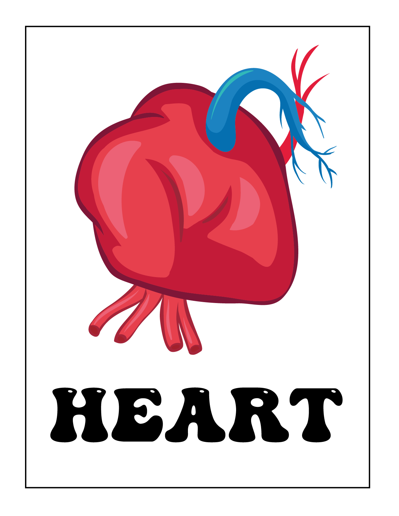 Discover the Human Body Like Never Before with Our Anatomy Coloring and ...