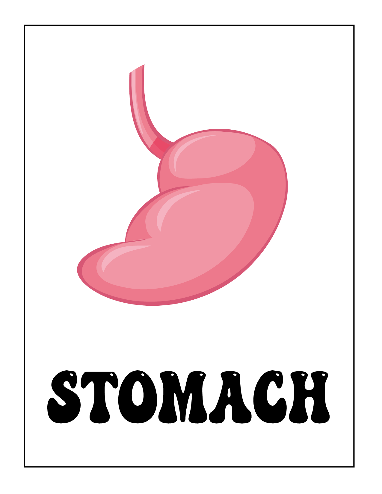 Discover the Human Body Like Never Before with Our Anatomy Coloring and ...