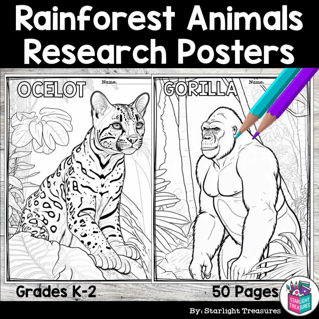 Rainforest Animals Research Posters, Coloring Pages - Animal Research ...