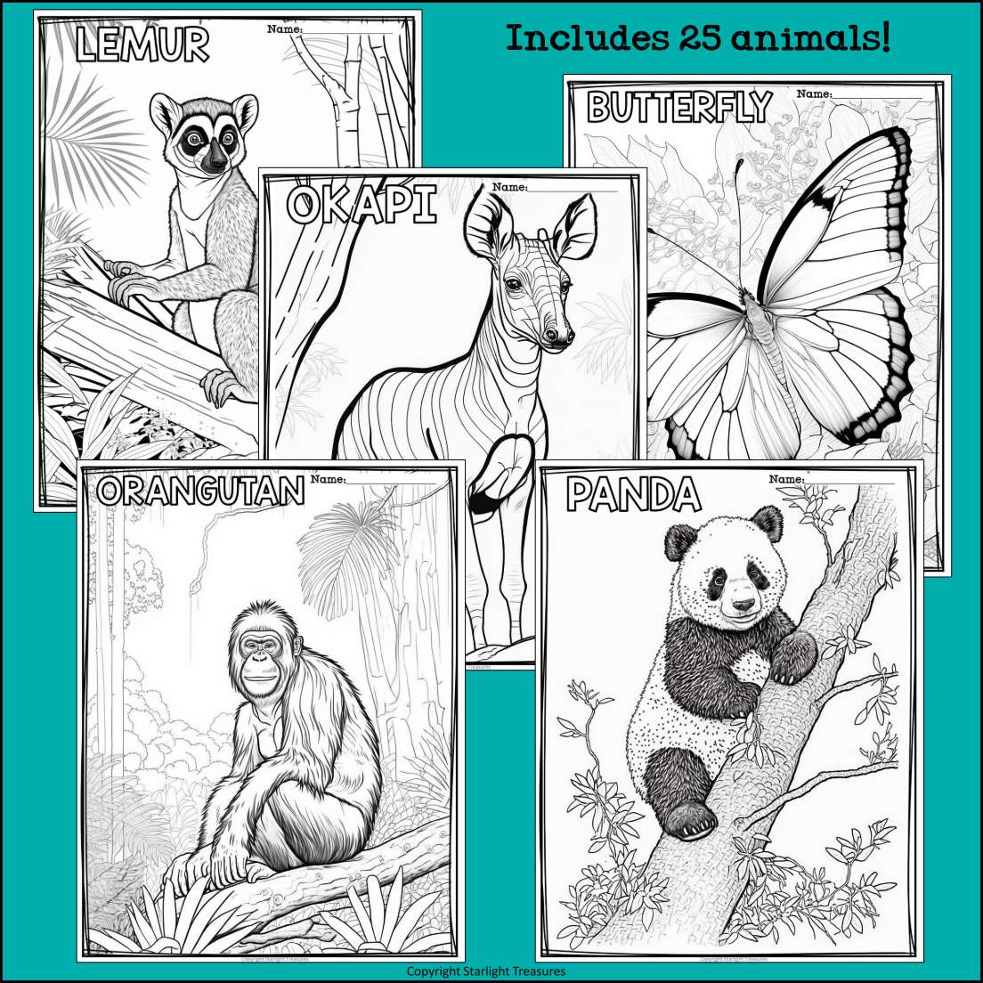 Rainforest Animals Research Posters, Coloring Pages - Animal Research ...
