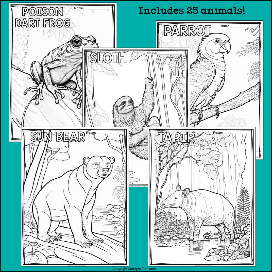 Rainforest Animals Research Posters, Coloring Pages - Animal Research ...