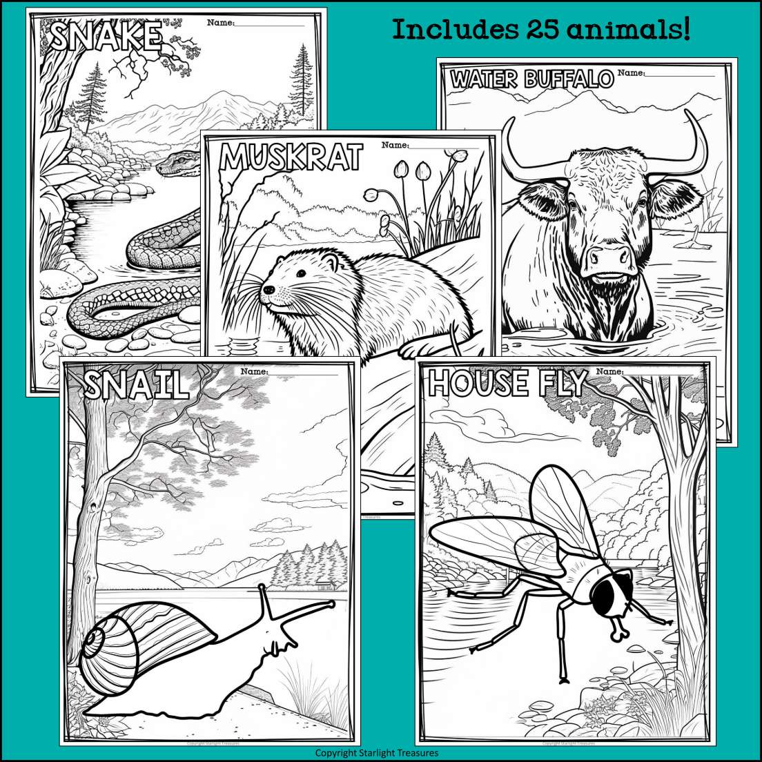 Wetland Animals Research Posters, Coloring Pages - Animal Research ...