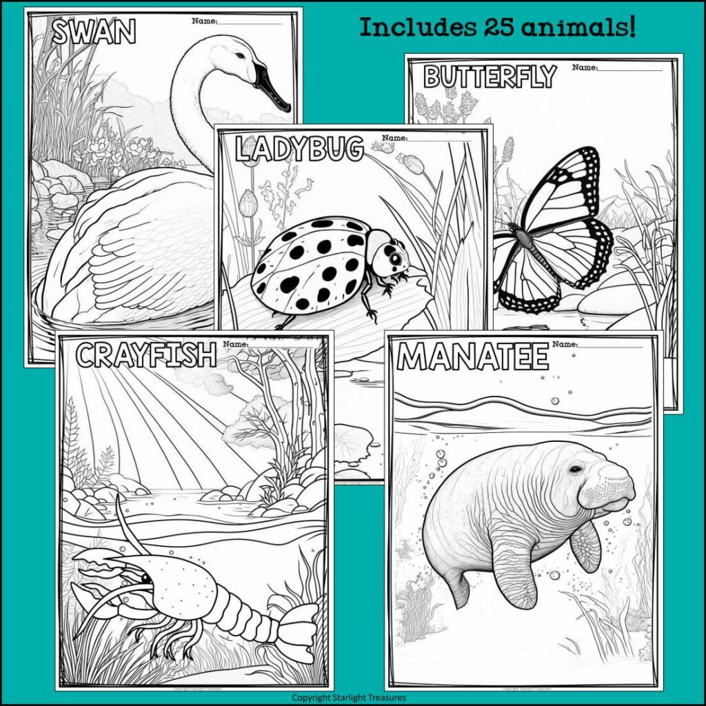Wetland Animals Research Posters, Coloring Pages - Animal Research ...