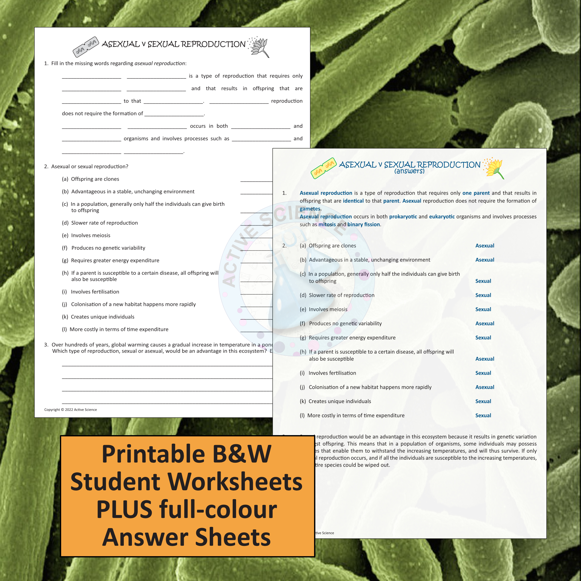 Asexual Reproduction | Made By Teachers