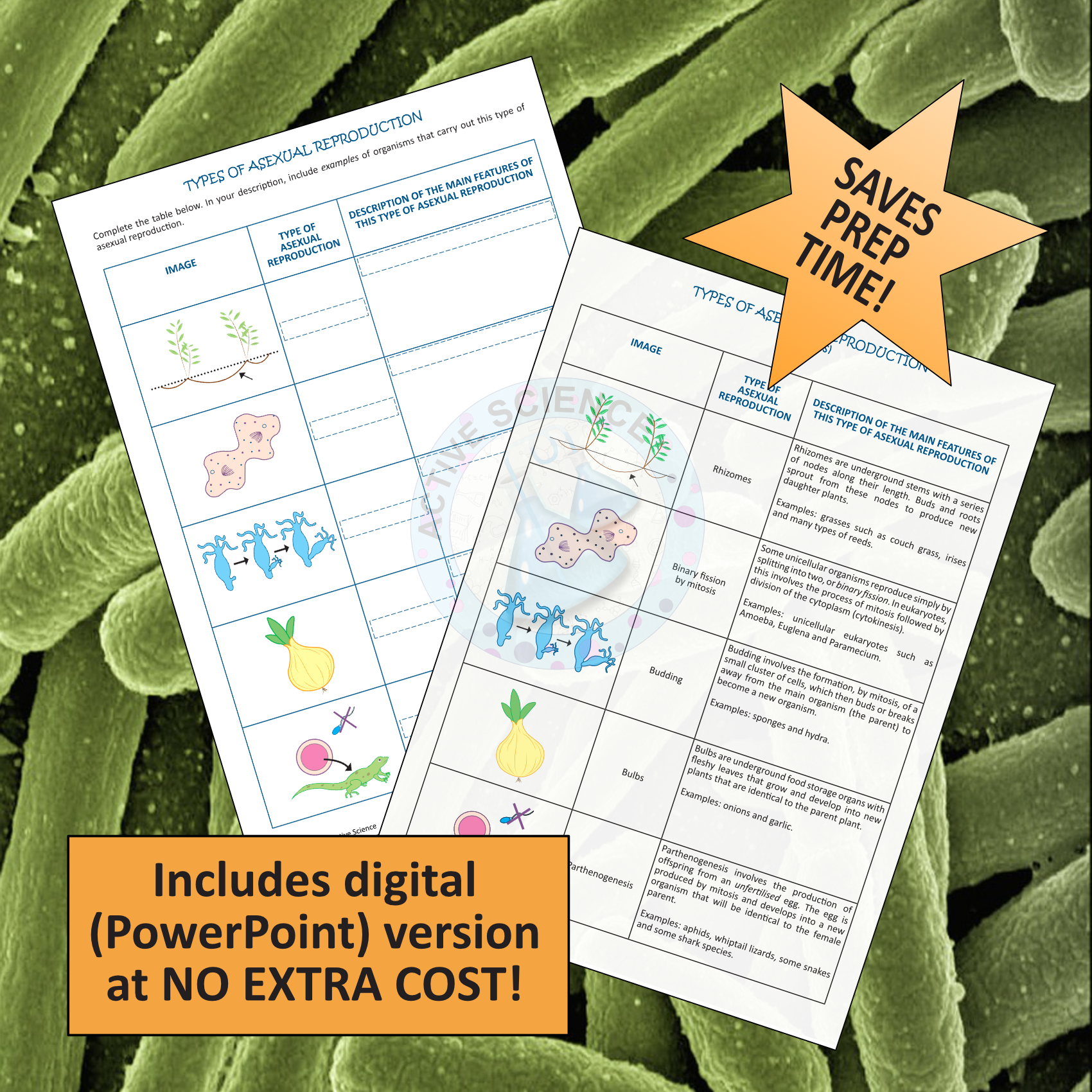 Asexual Reproduction (US Edition) | Made By Teachers