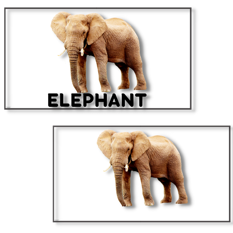 Animal Vocabulary Flashcards- ESL Learning, PowerPoint and PDF | Made ...