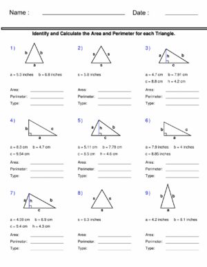 Area and Perimeter of Triangles - Identify and Calculate -Triangle ...
