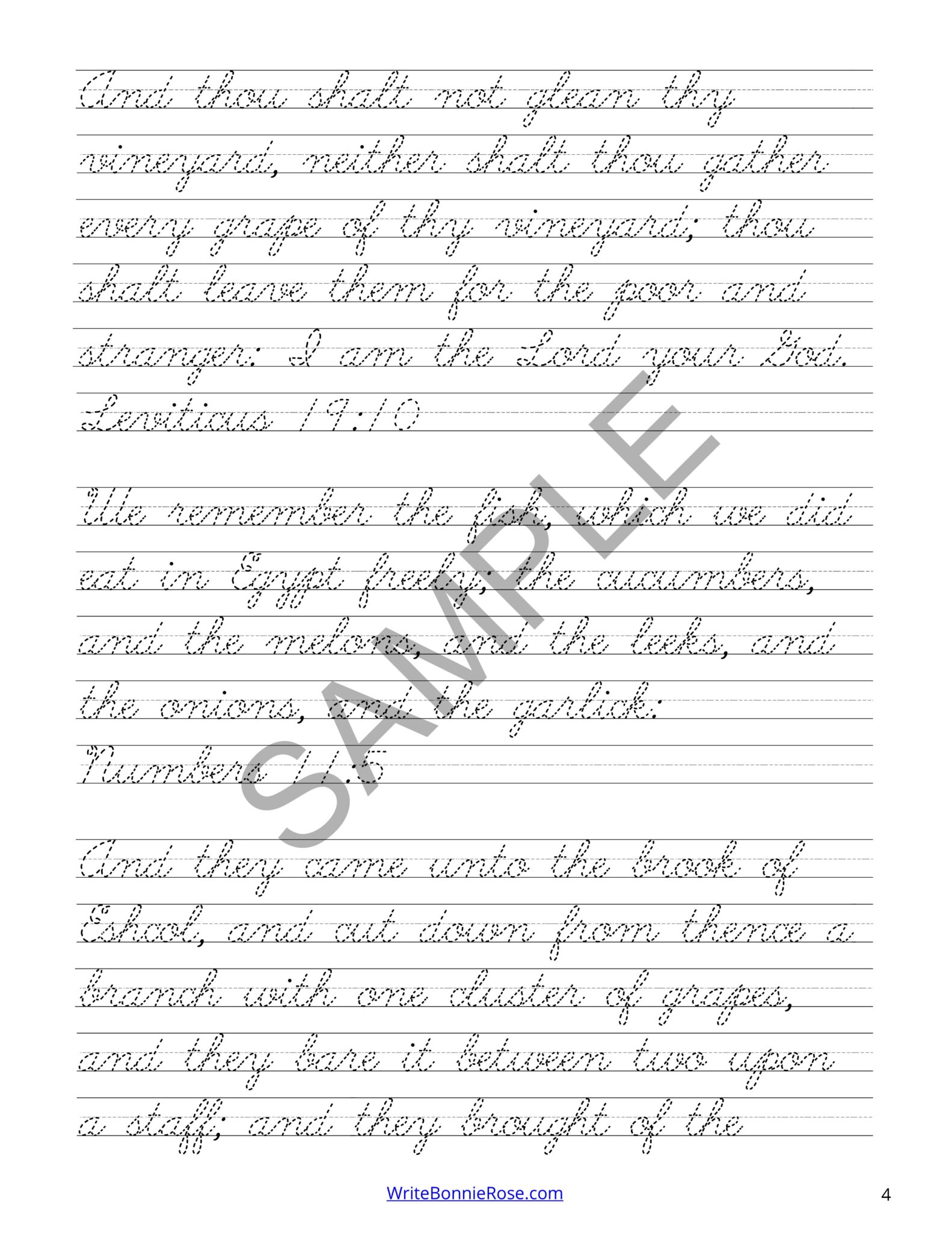 Fruits and Vegetables of the Bible Cursive Copywork | Made By Teachers