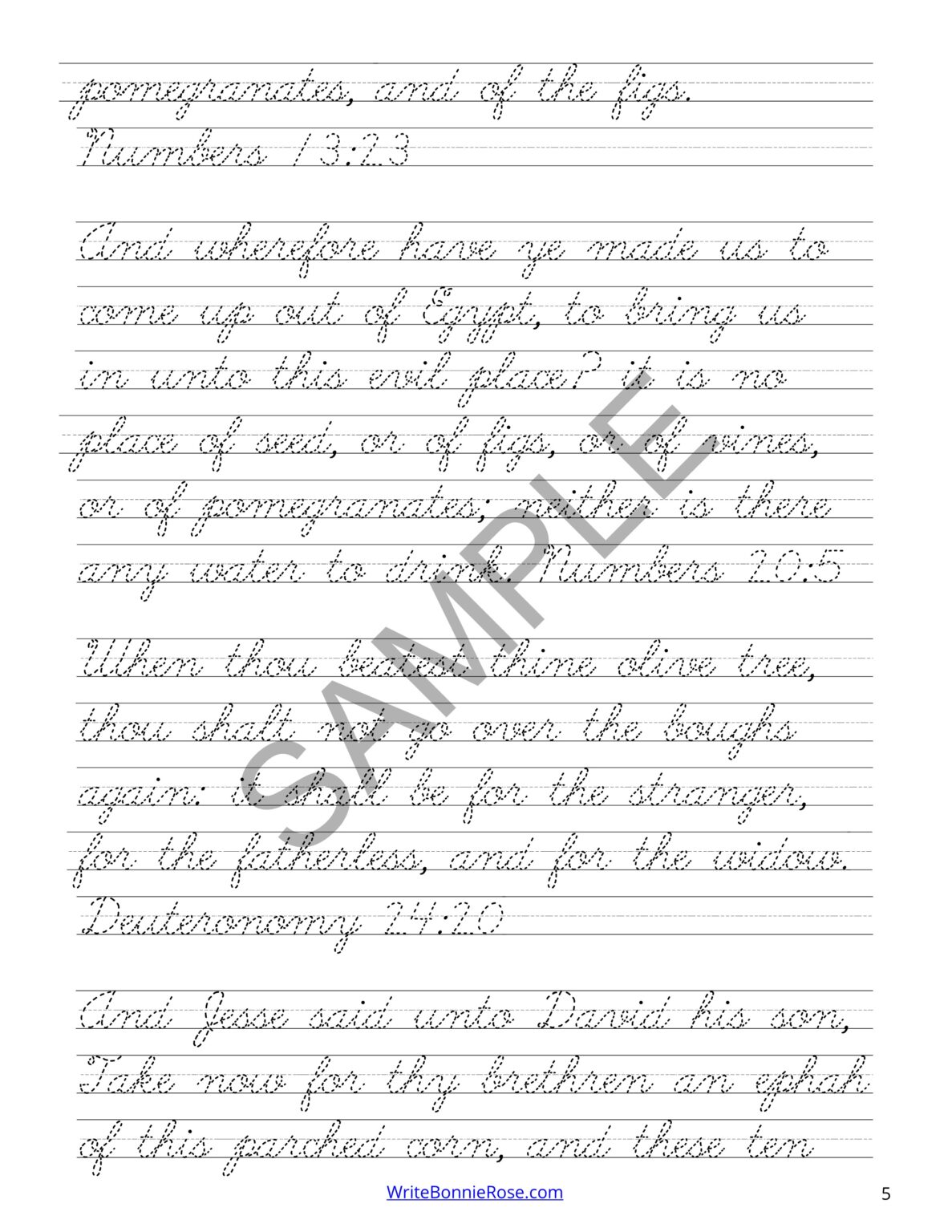 Fruits and Vegetables of the Bible Cursive Copywork | Made By Teachers