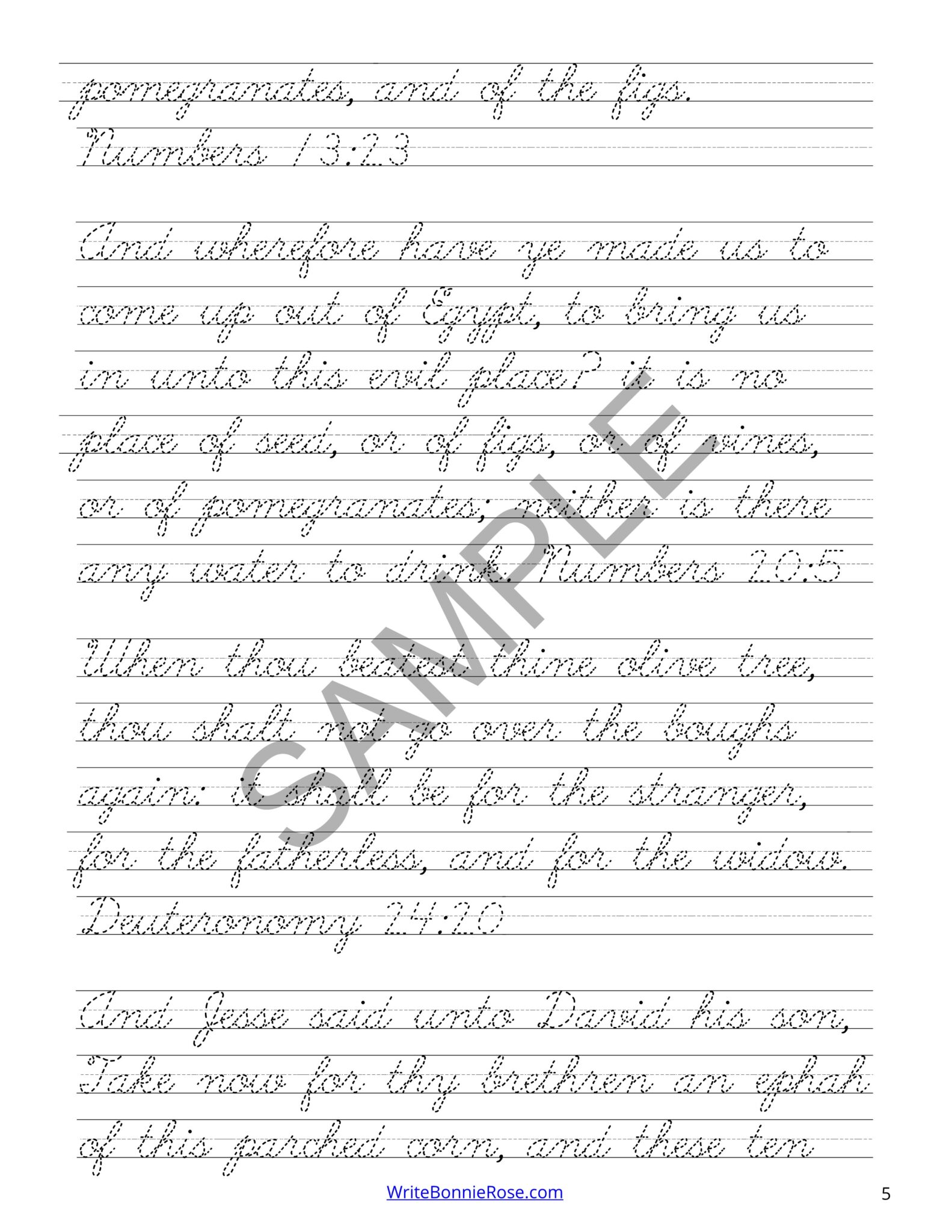 Fruits and Vegetables of the Bible Cursive Copywork | Made By Teachers