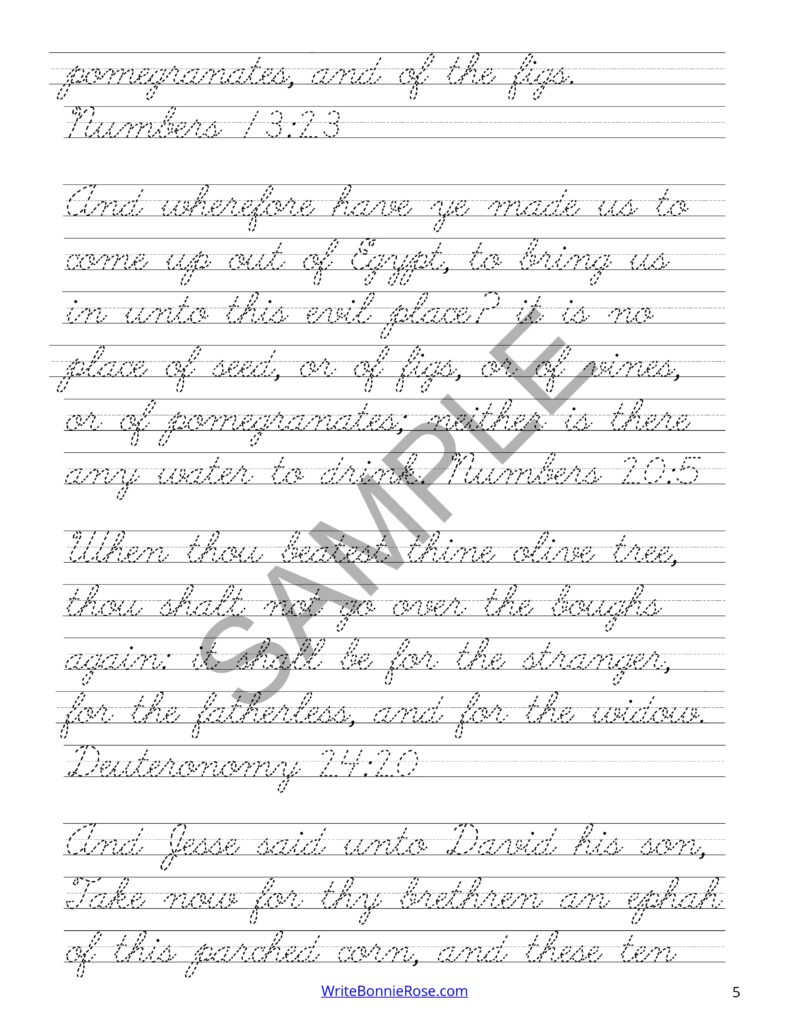 Fruits and Vegetables of the Bible Cursive Copywork | Made By Teachers