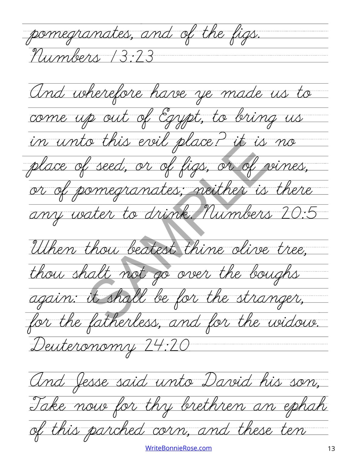 Fruits and Vegetables of the Bible Cursive Copywork | Made By Teachers
