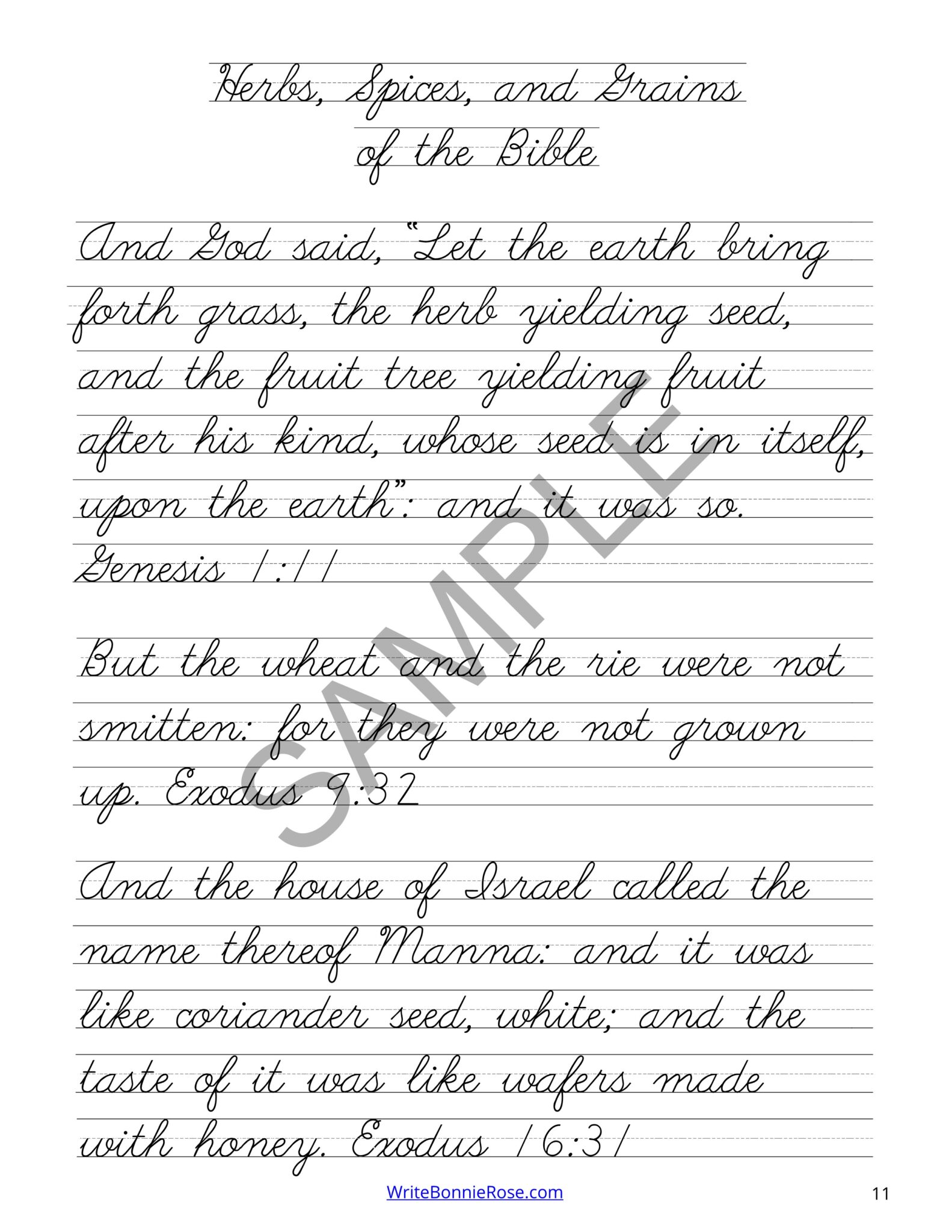 Herbs, Spices & Grains of the Bible Cursive Copywork | Made By Teachers