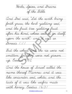 Herbs, Spices & Grains of the Bible Cursive Copywork | Made By Teachers