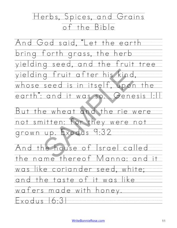 Herbs, Spices & Grains of the Bible Print Copywork | Made By Teachers