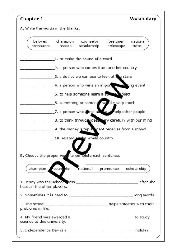 Megan Stine "Who Was Sally Ride?" worksheets | Made By Teachers