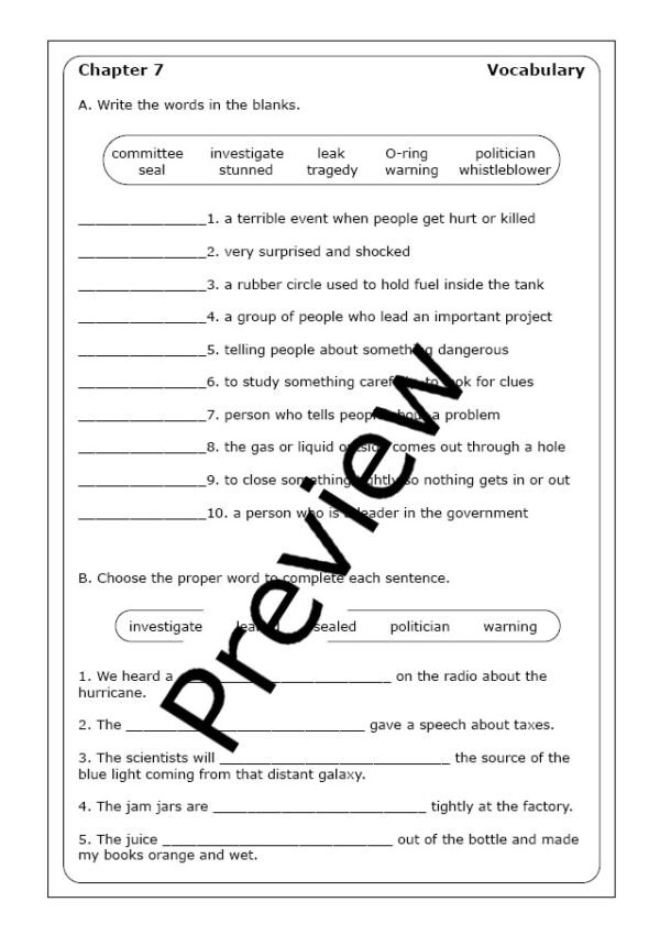 Megan Stine "Who Was Sally Ride?" worksheets | Made By Teachers