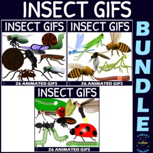 Insect GIFs MINI BUNDLE - Animated Bugs Clip Art | Made By Teachers