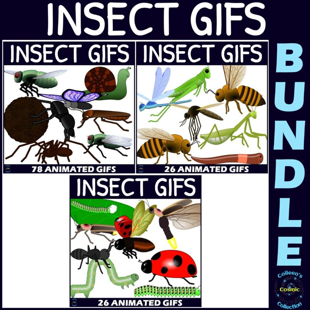 Insect GIFs Clipart BUNDLE - Animated Bugs Clip Art | Made By Teachers