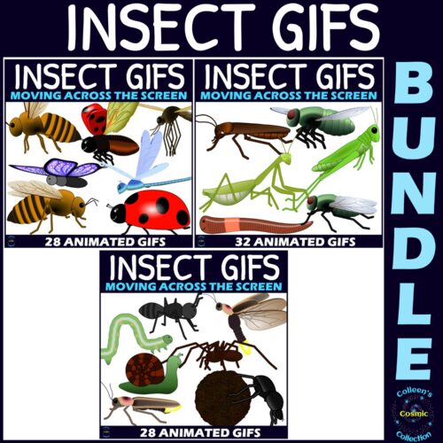Insect GIFs MINI BUNDLE - Animated Bugs Moving Across the Screen Clip ...