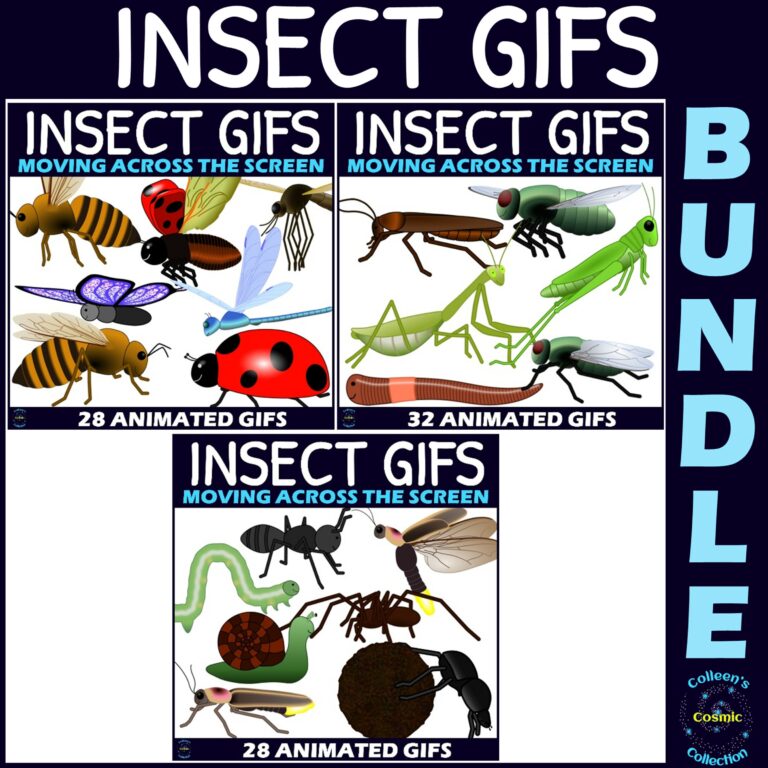 Insect GIFs MINI BUNDLE - Animated Bugs Moving Across the Screen Clip ...